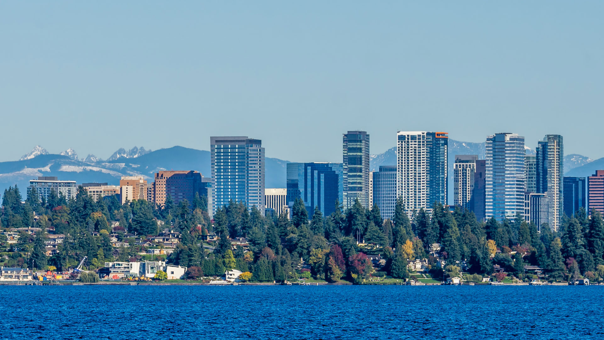 Bellevue Managed IT Services | Dynamic Computing