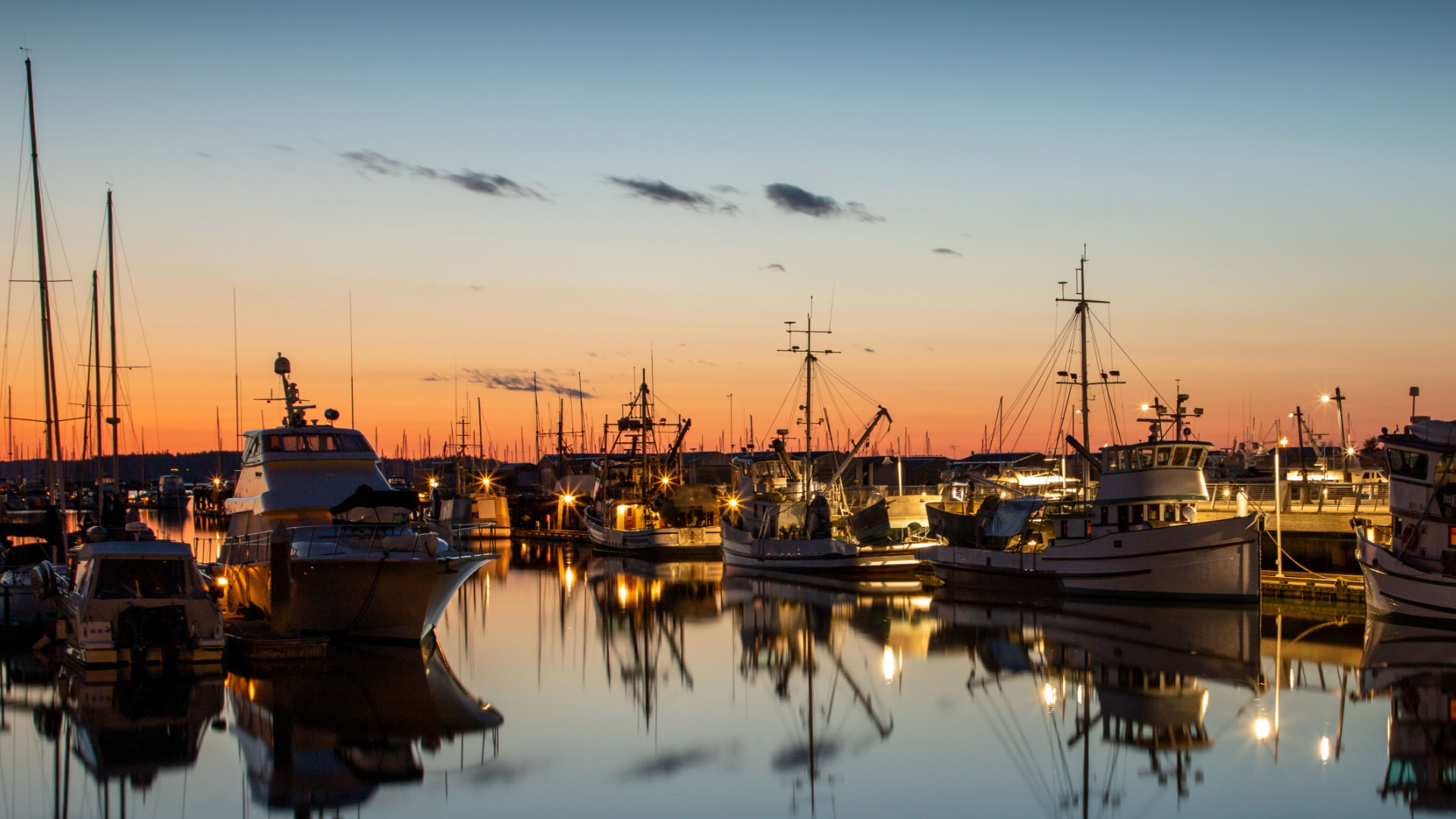 Tacoma Managed IT Services | Dynamic Computing