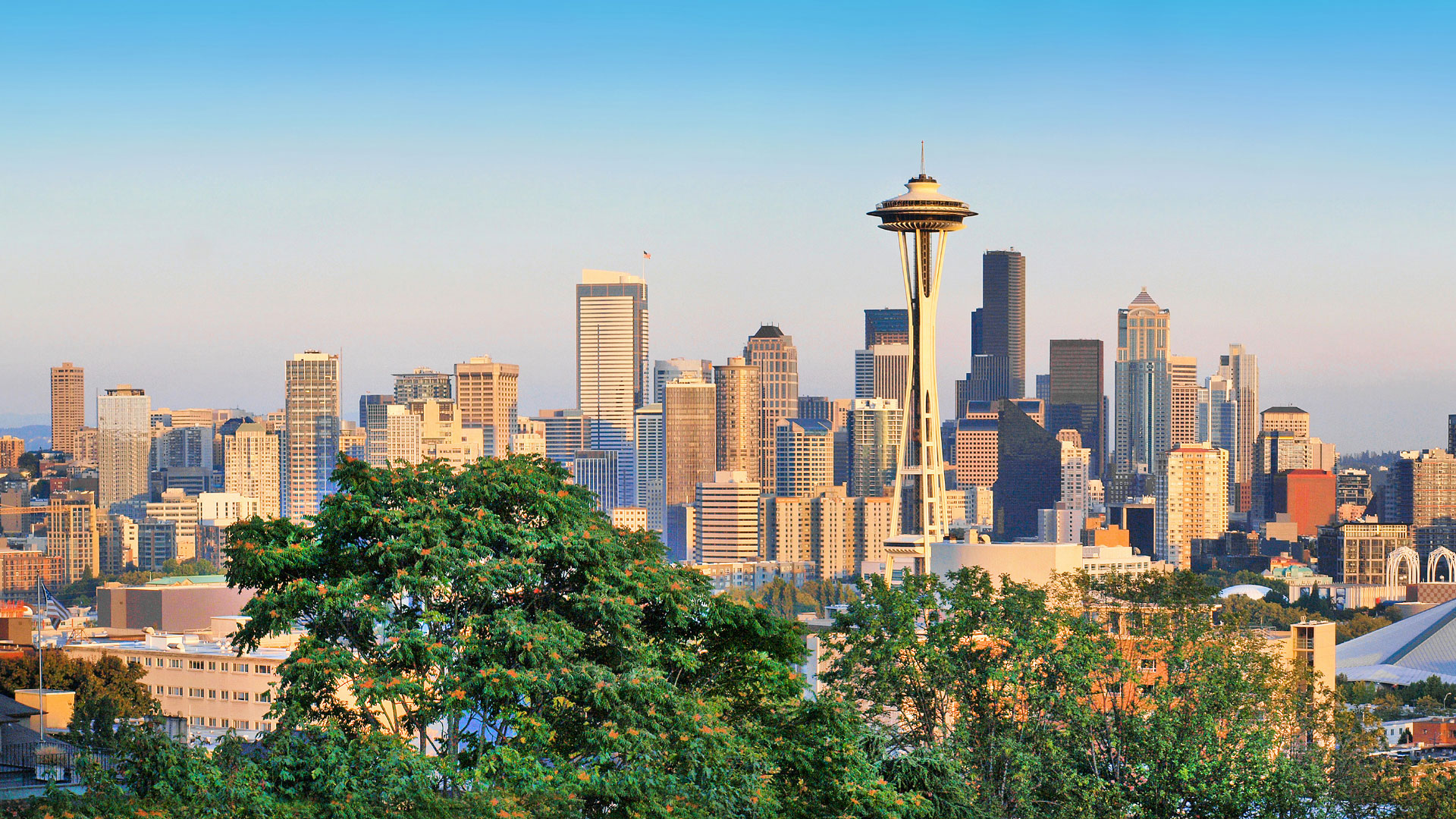 Olympia Managed IT Services | Dynamic Computing